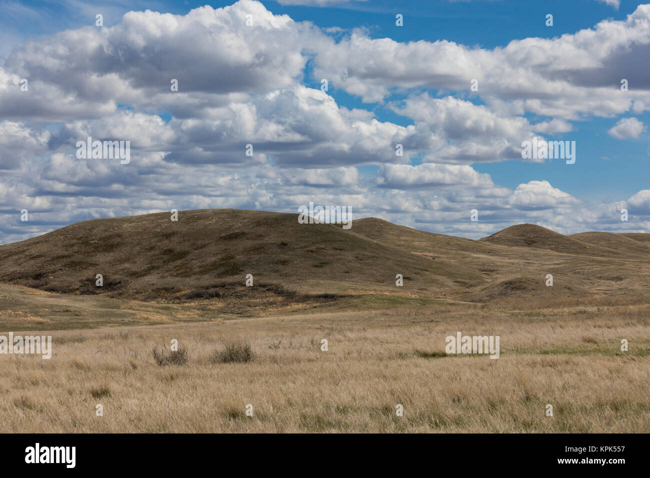 Prairie scene in Grasslands National Park; Saskatchewan, Canada Stock ...