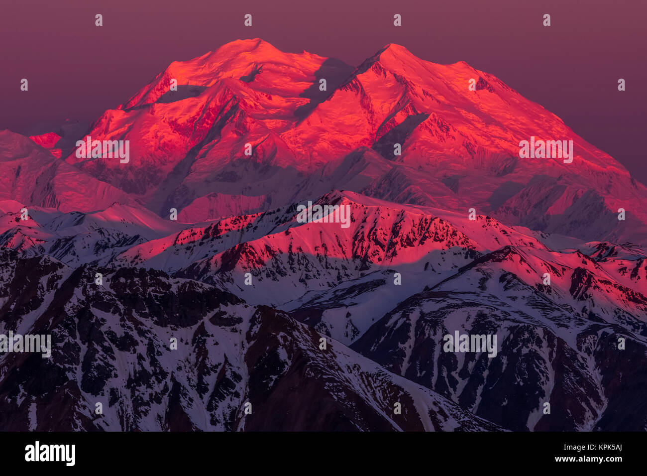 Alpenglow shines on Denali at sunrise, viewed from a ridge near ...