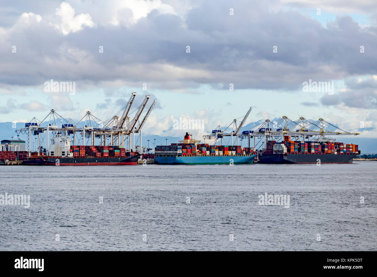 Container ships in the dock at the Delta Port outside of Vancouver ...