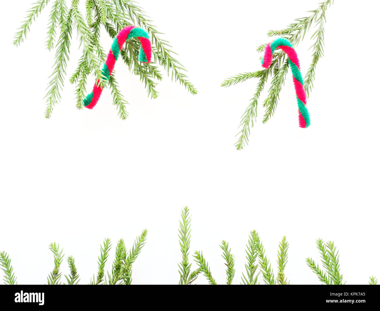 Cane frame hi-res stock photography and images - Alamy