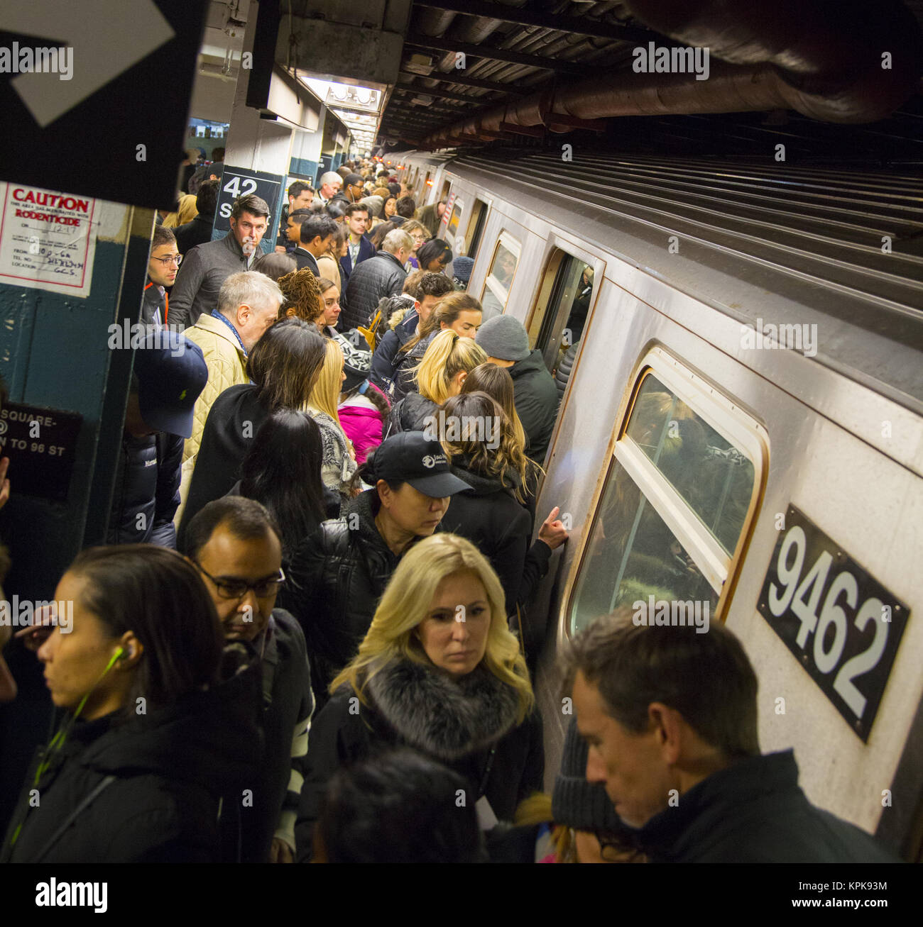 Overly crowded subway train platform during the evening rush hour at the 42nd Street Times ...
