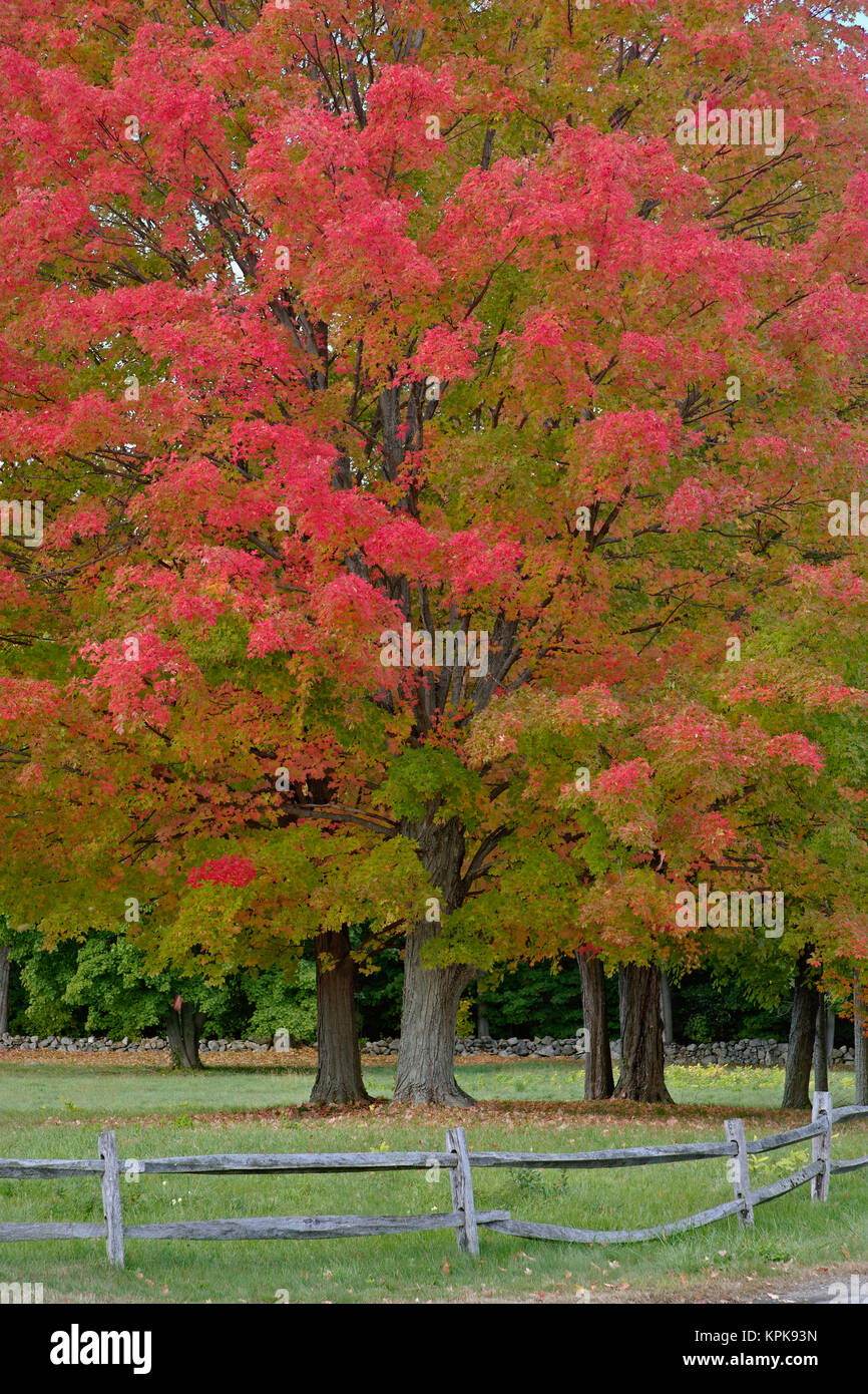 Concord massachusetts fall hi-res stock photography and images - Alamy