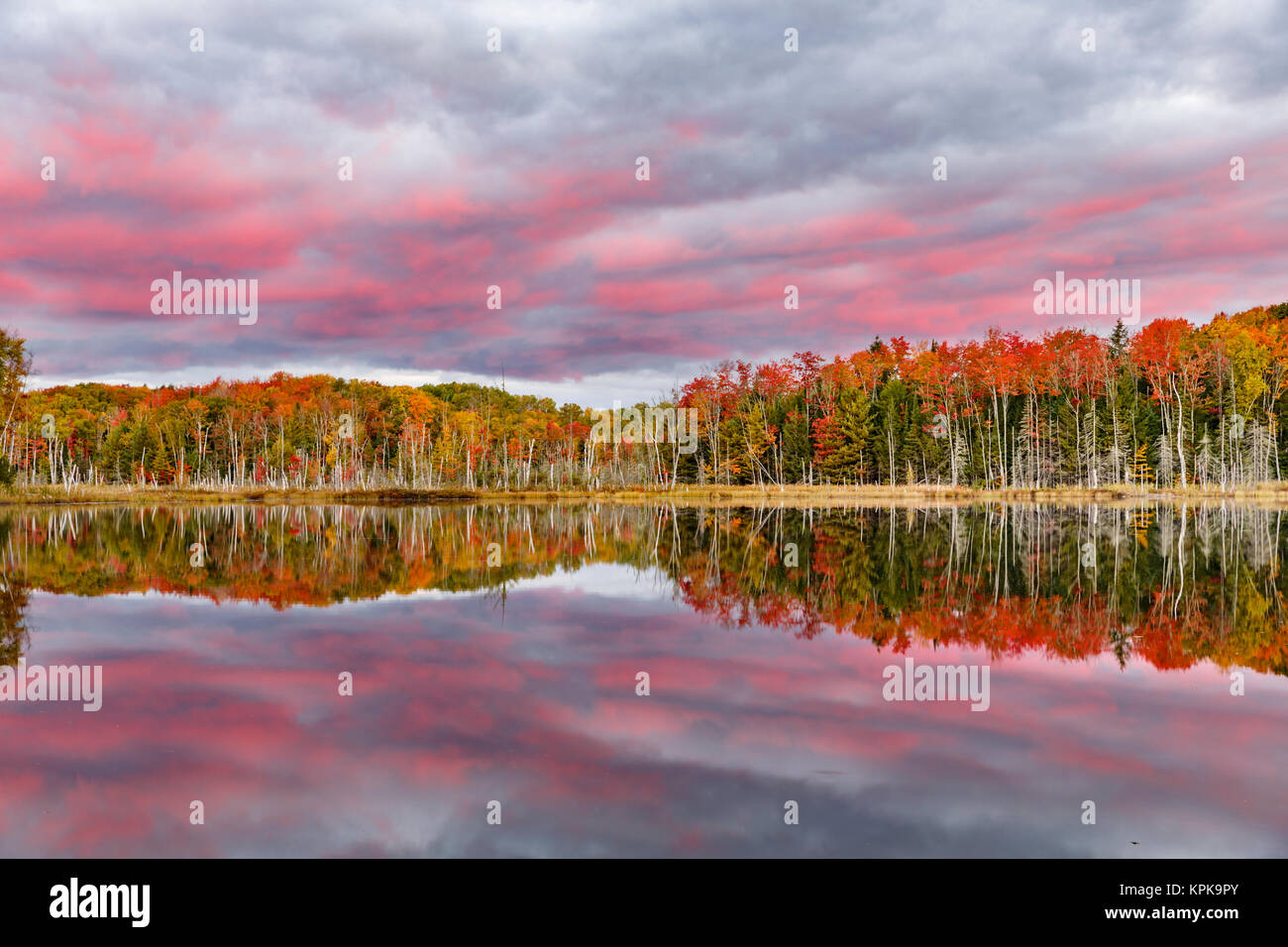 Red Jack Lake and sunrise reflection, Alger County, Upper Peninsula of ...