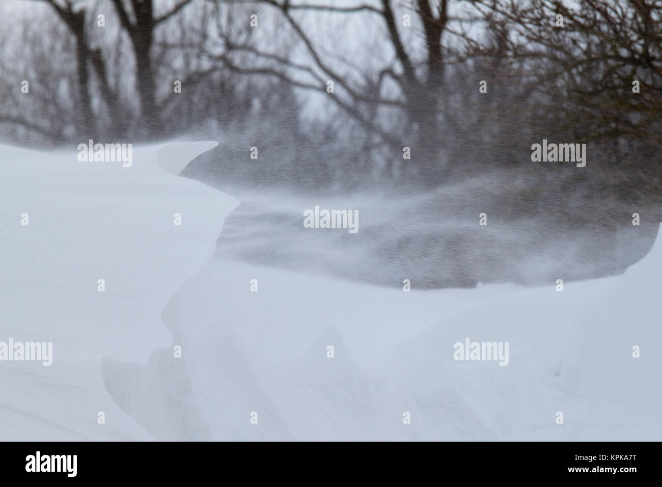 ice-cold winter storm on the baltic sea Stock Photo - Alamy