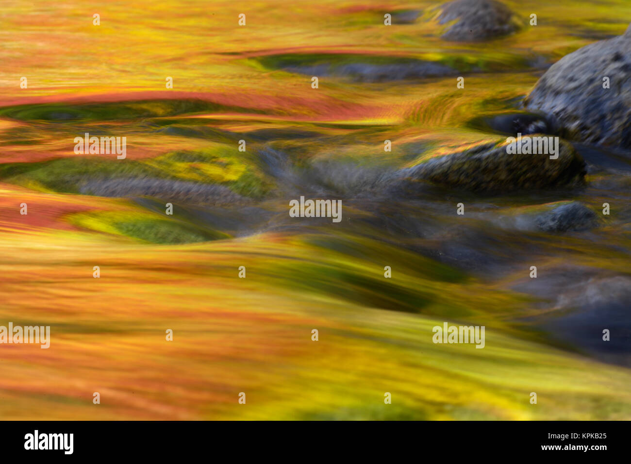 Autumn color reflected on flowing water, Swift River, White Mountain ...