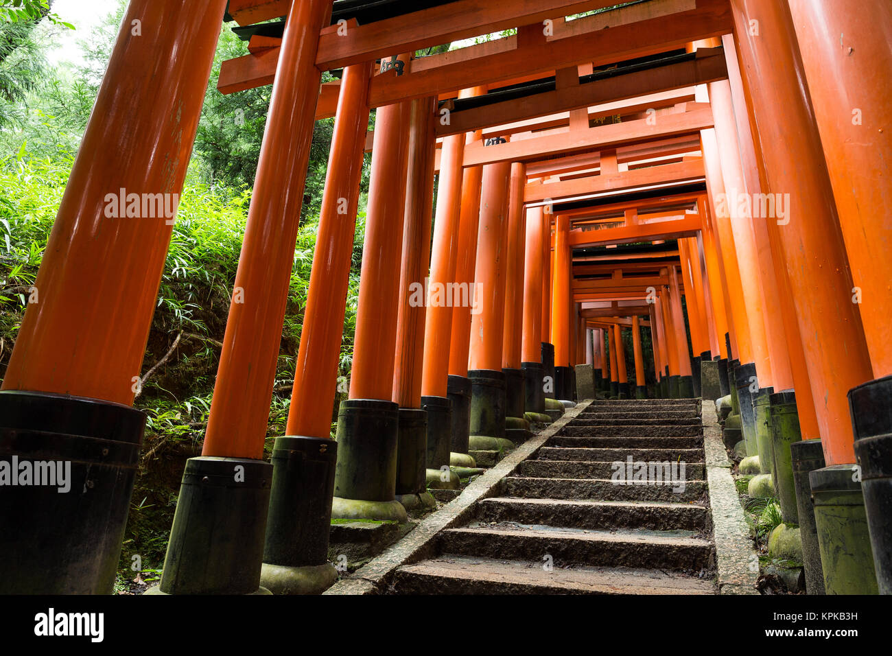 Fushimi Inari Shrine in Kyoto, japan Stock Photo - Alamy
