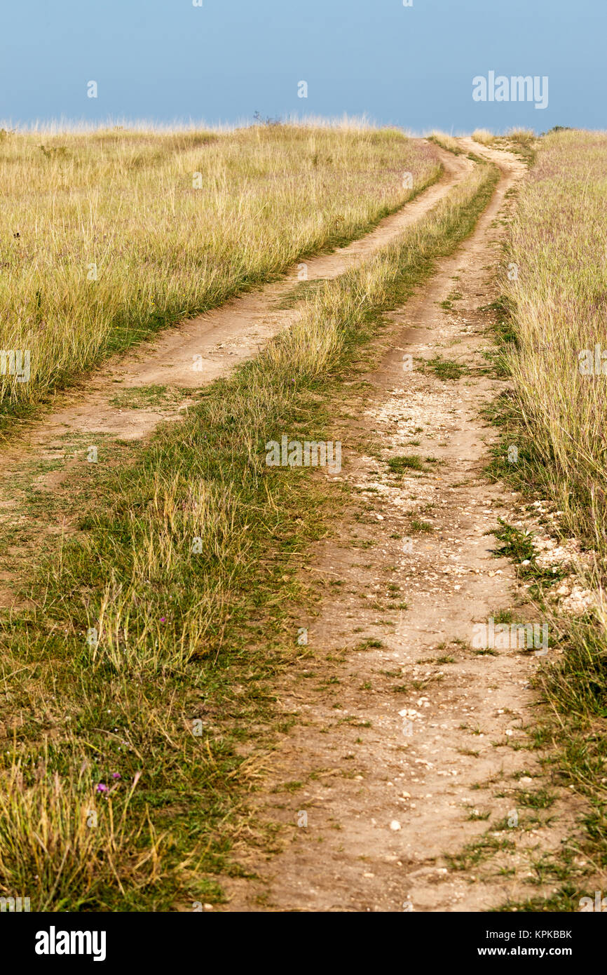Summer landscape with yellow grass and road Stock Photo - Alamy