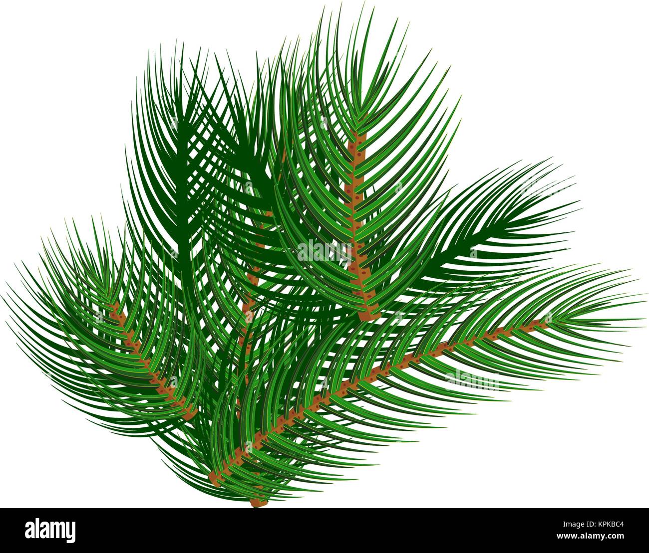 Vector Spruce Branch as an Element of New Year's Decor Stock Vector ...