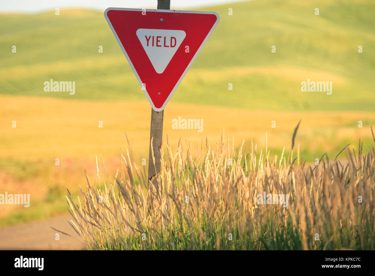Rural sign near field of Wheat, Palouse Area of Eastern Washington ...