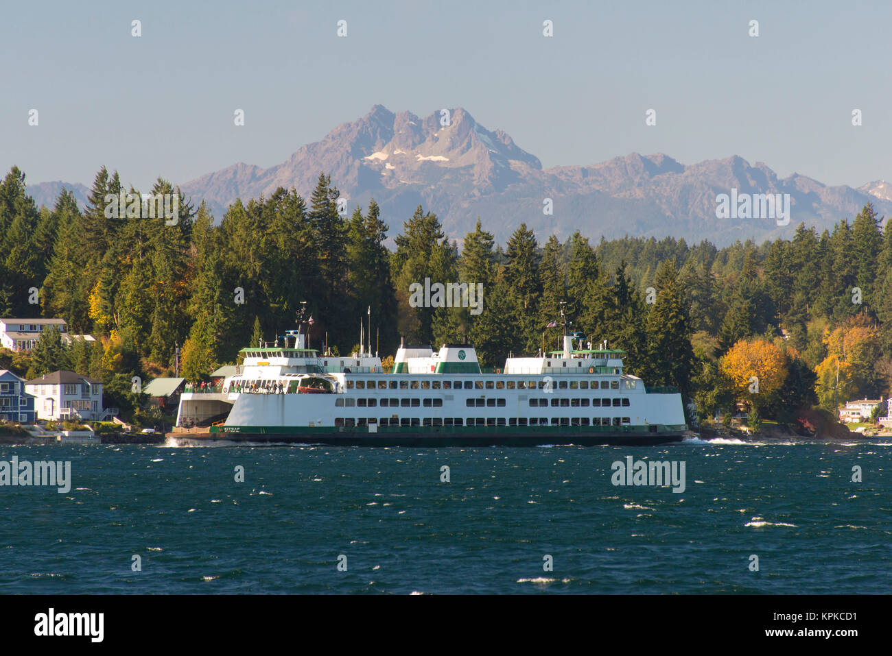 US, WA. Bremerton/Seattle ferry in Rich Passage, fall color, whitecaps ...