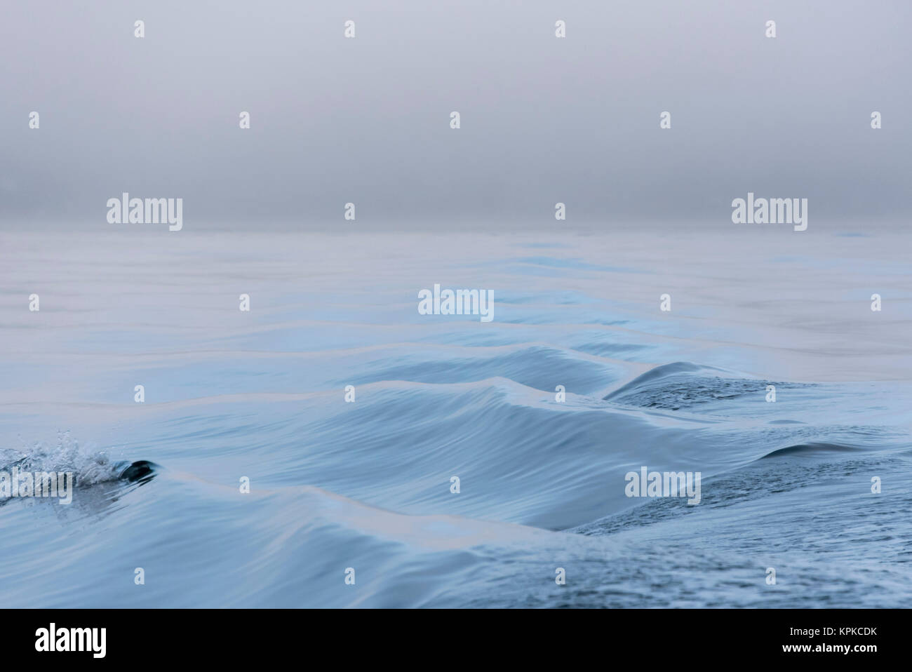 Usa, Washington State, Puget Sound Wake patterns on calm water ...