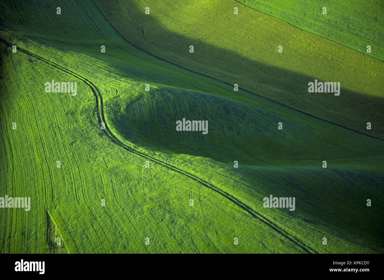 NA, USA, Washington State, Palouse Region, Aeria; View Spring Wheat ...