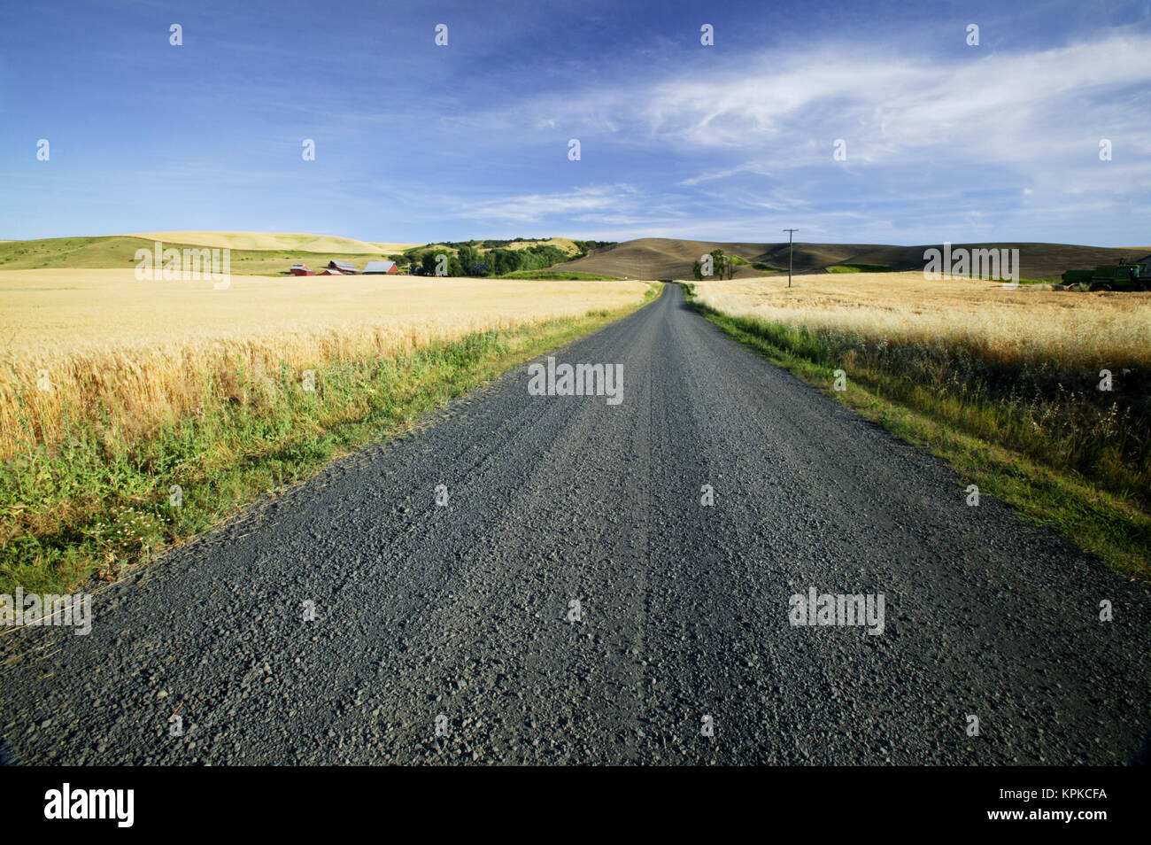 NA, USA, Washington State, Walla Walla, Back Road leading to Country ...