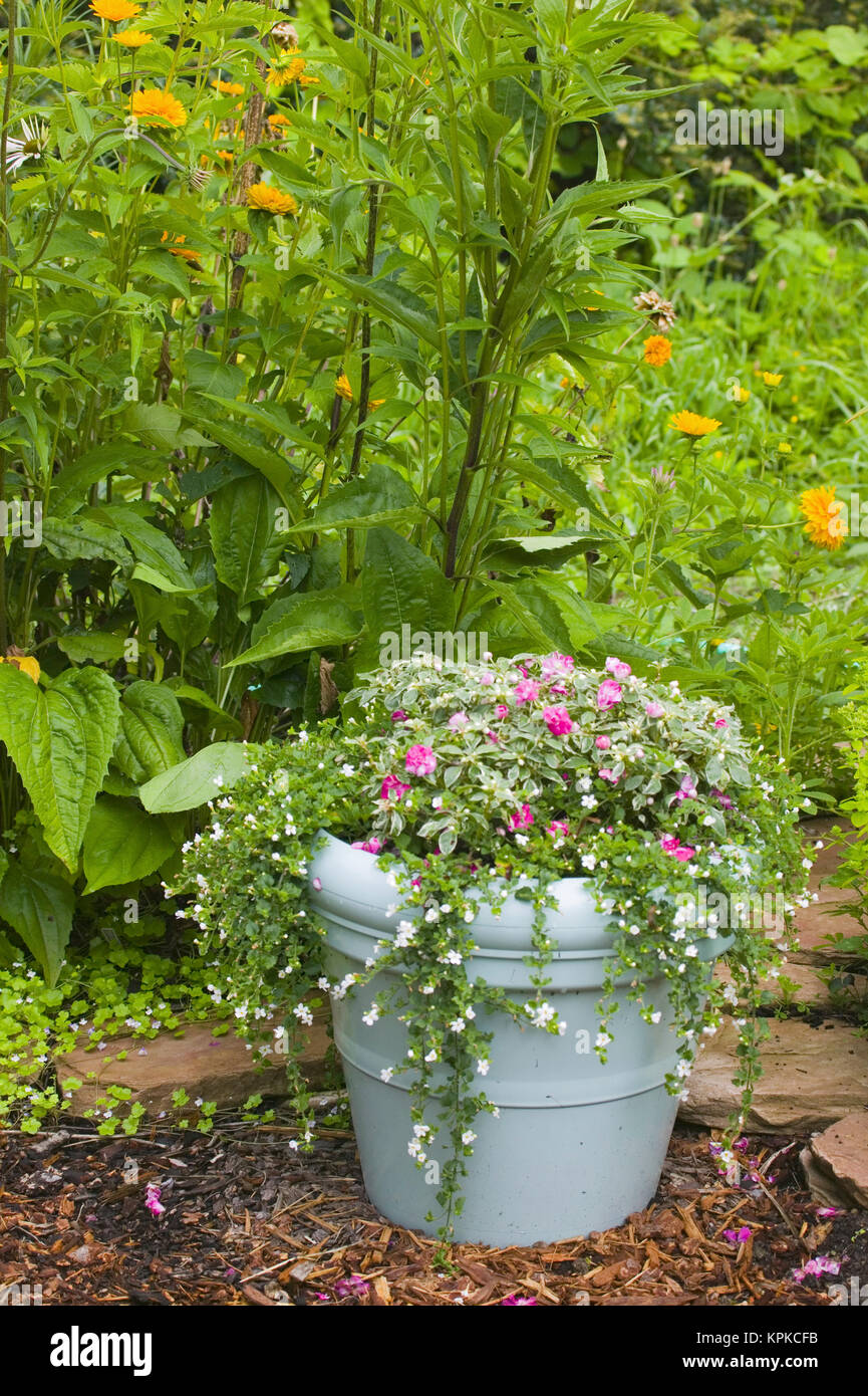 NA, USA, WashingtonState, Seattle, Backyard Flowers, Garden with flower ...