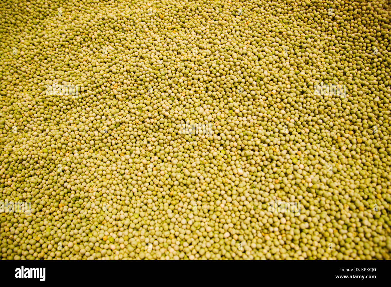 USA, Washington, Colfax, Lentil Peas at Bagging Plant Stock Photo - Alamy