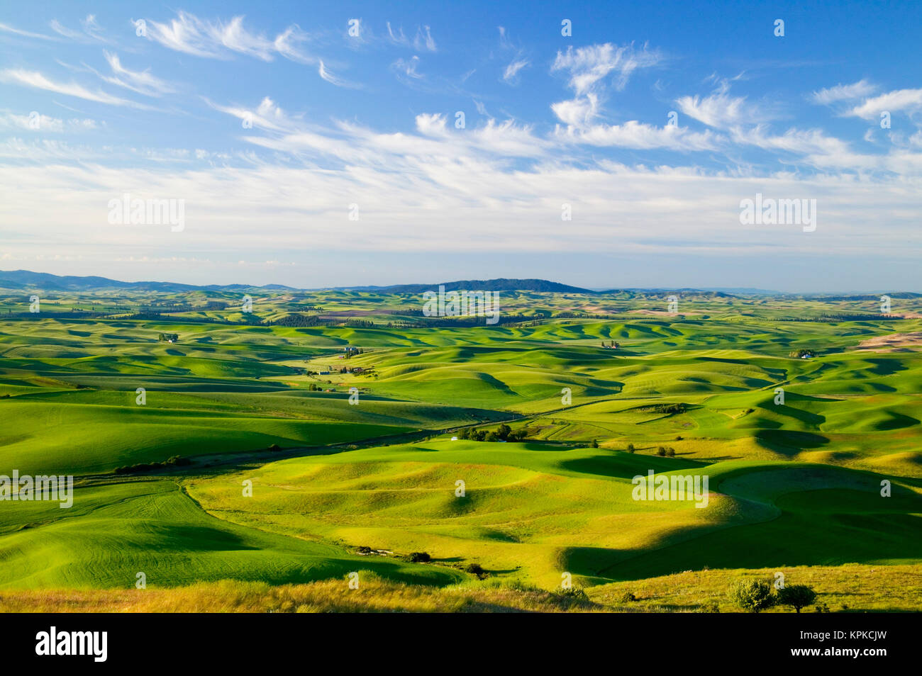 USA, Washington, Palouse Counrty, View From Steptoe Butte of Spring ...
