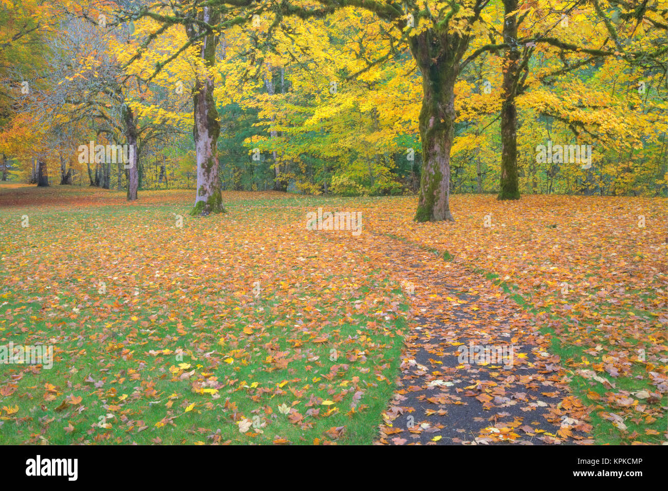 Newhalem hi-res stock photography and images - Alamy