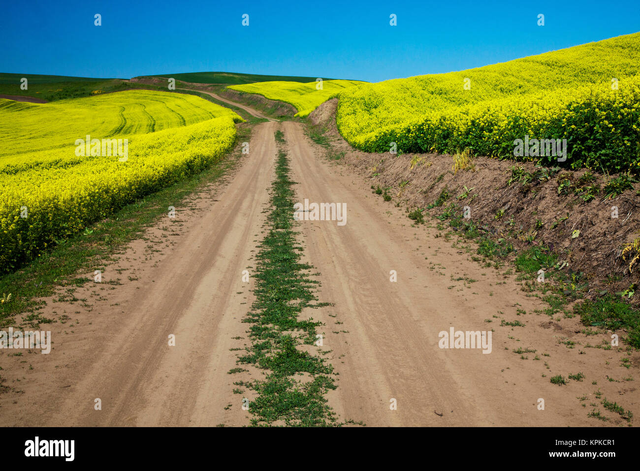 We want our country back hi-res stock photography and images - Alamy