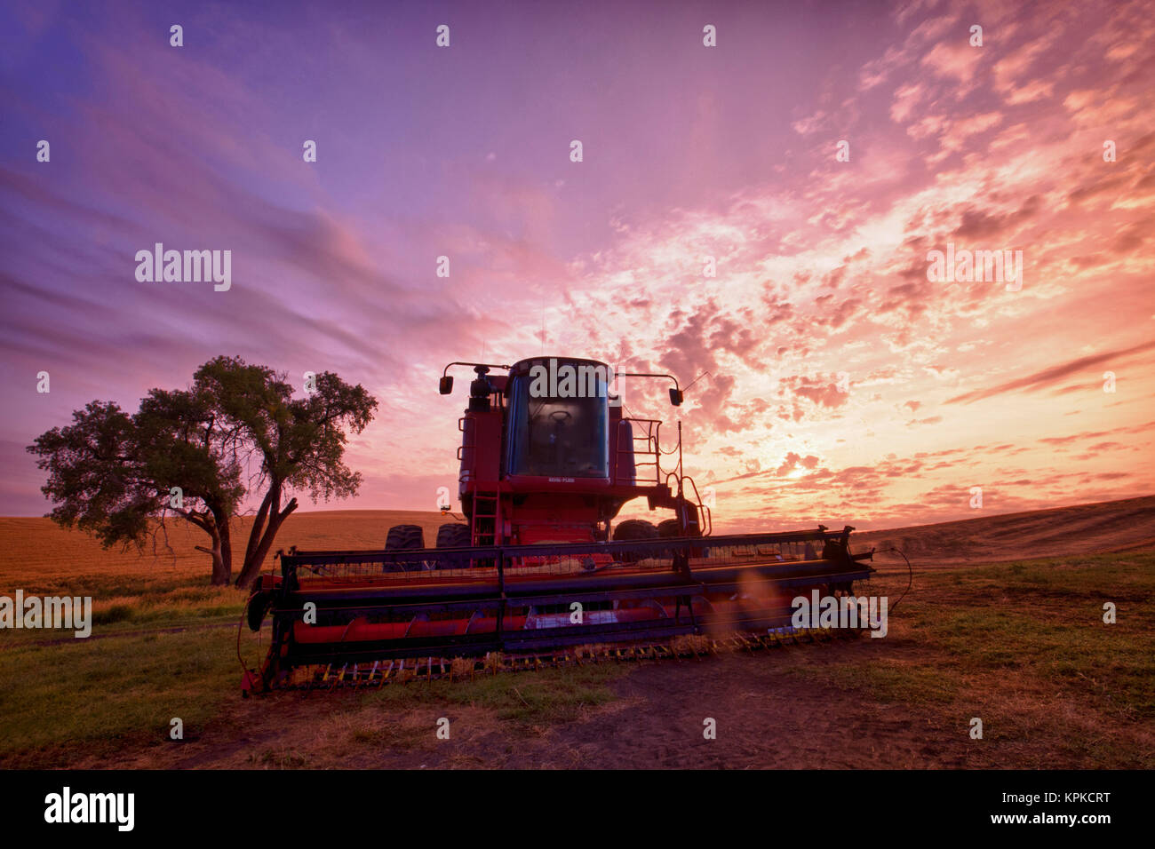 North America. Washington. Palouse Country Stock Photo - Alamy