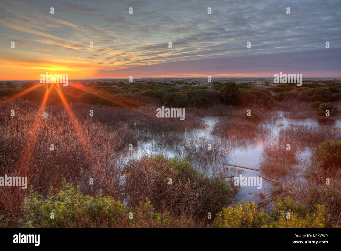 Sunset over wetlands at Ocean Shores. Washington, US Stock Photo - Alamy