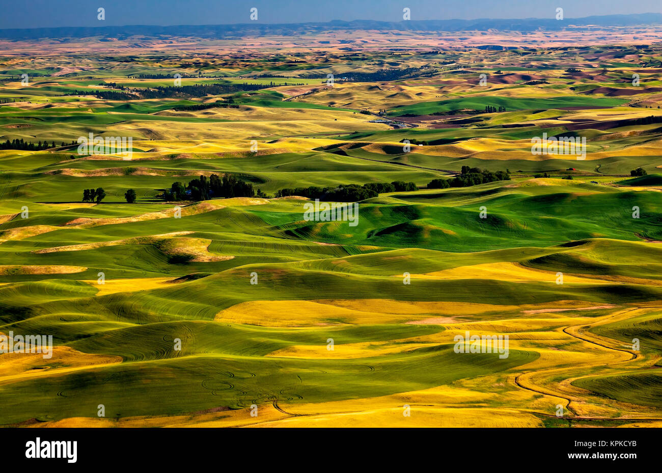 Perry farms hi-res stock photography and images - Alamy