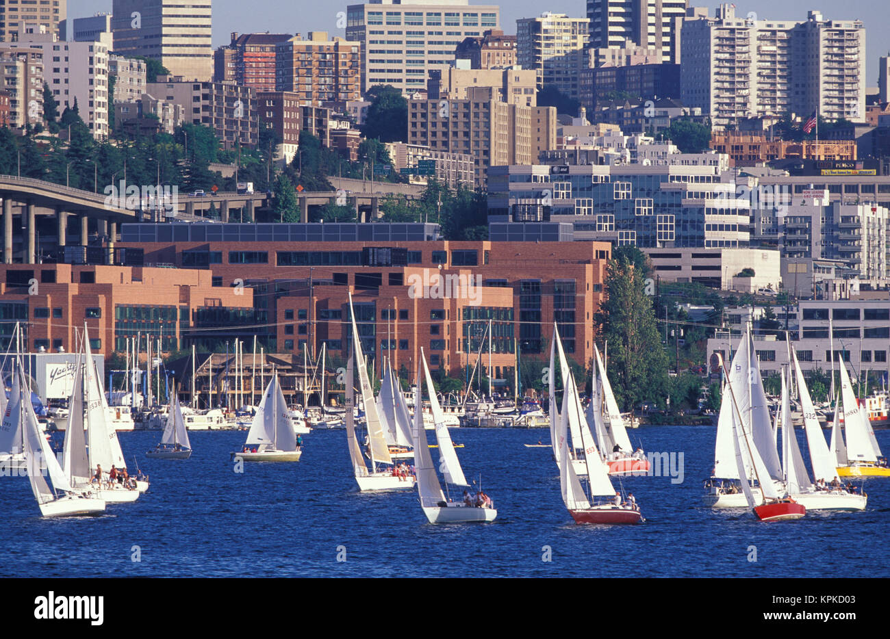 USA, Washington State, Seattle, Lake Union. Sailboat race Stock Photo ...