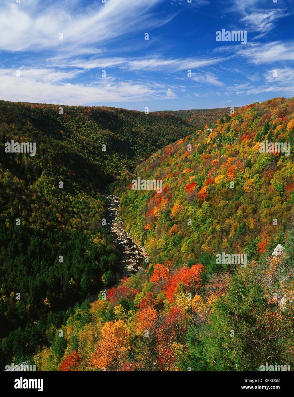 Blackwater canyon hi-res stock photography and images - Alamy