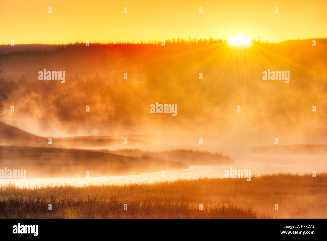 Steaming Madison River at Madison Junction, Yellowstone National Park ...