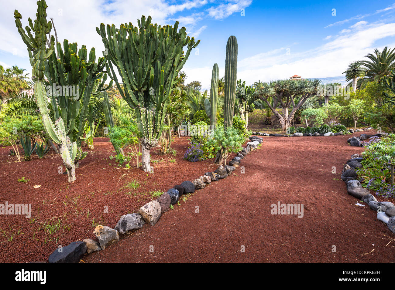 Puero de la cruz hi-res stock photography and images - Alamy