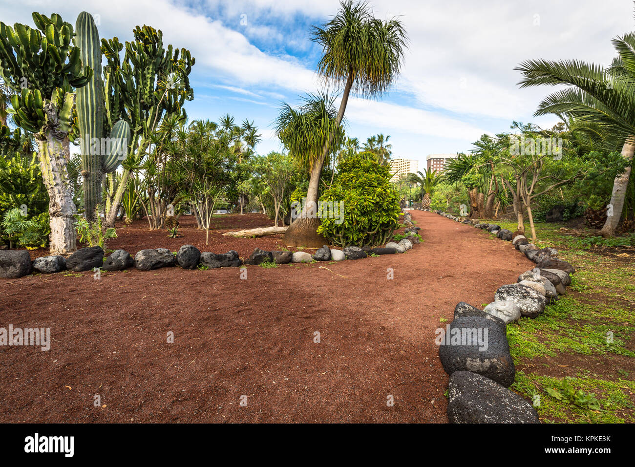 garden in puero de la cruz,tenerife,canary islands,spain Stock Photo ...