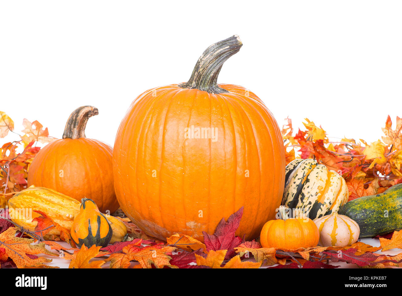 Fall leaves with pumpkins and squash on a white background Stock Photo ...