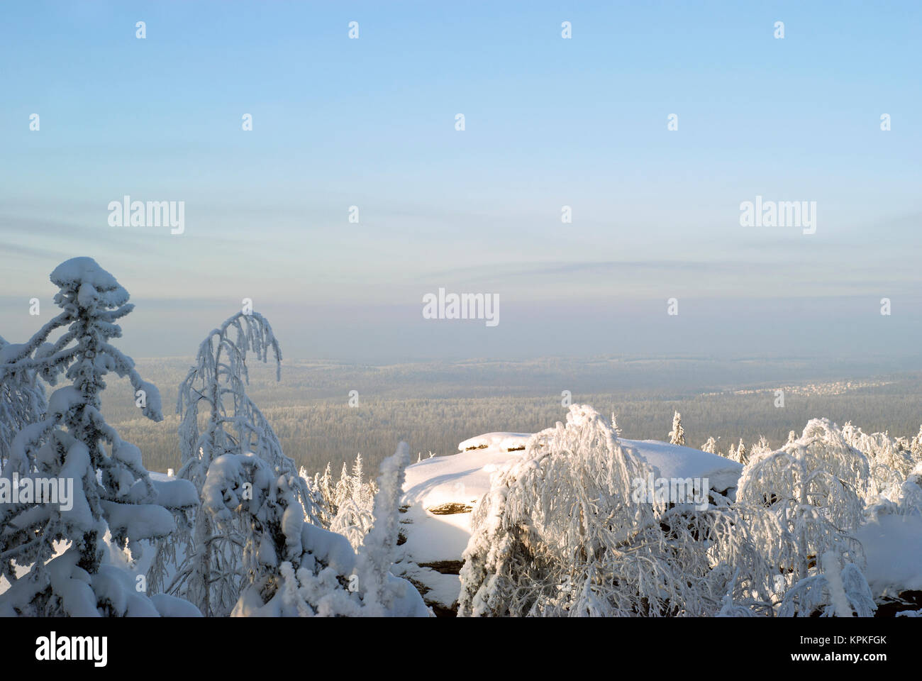 Winter wooded landscape with a bird's eye view - from the top of the ...