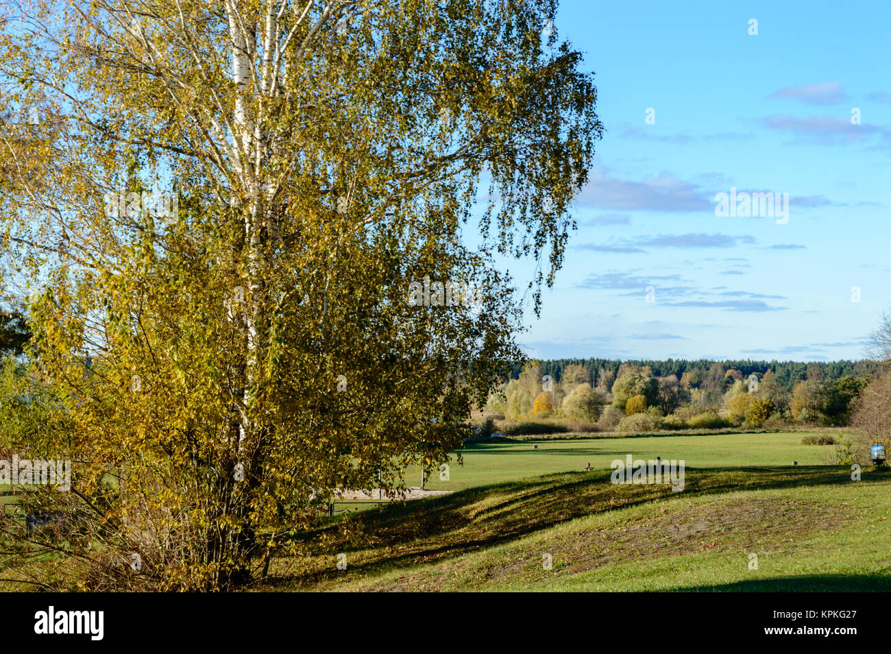 autumn countryside landscape. natural environmental detail view in ...