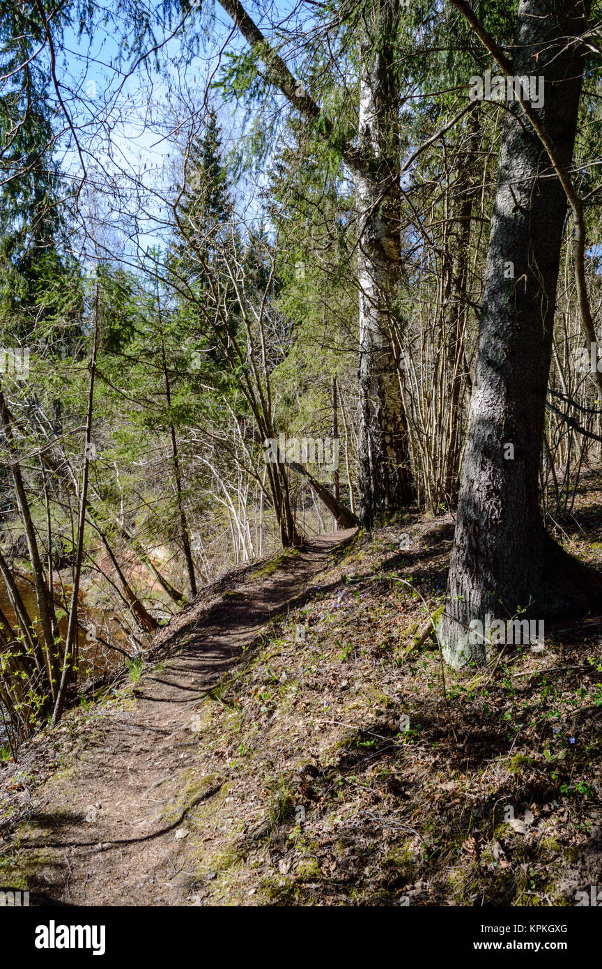 spring in countryside, detail shot. natural environmental detail view ...