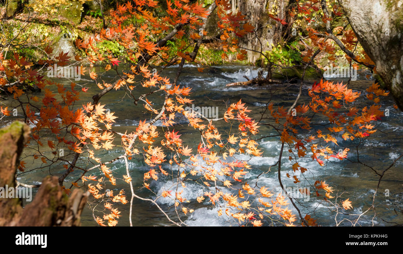 Mysterious oirase stream flowing through hi-res stock photography and ...