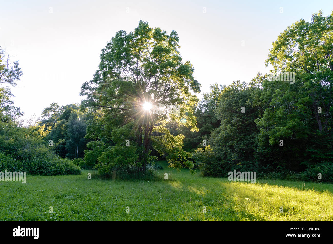 beautiful countryside landscape. natural environmental detail view in ...