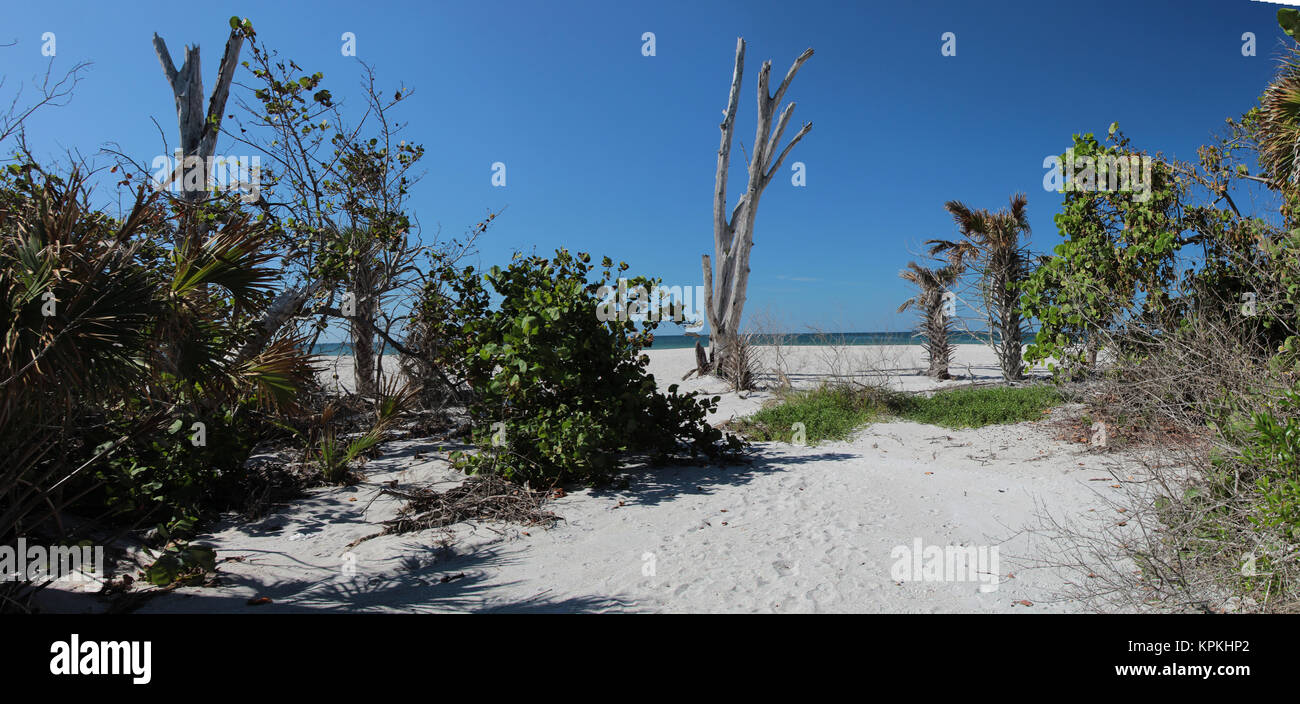 Florida beach panoramic, Stump Pass Beach State Park Stock Photo - Alamy