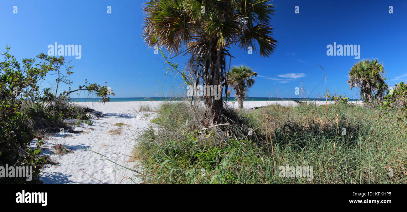 Florida beach panoramic, Stump Pass Beach State Park Stock Photo - Alamy