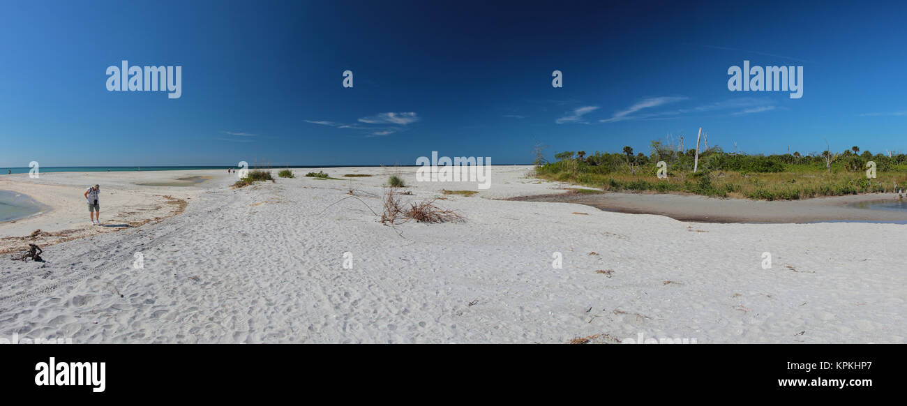 Florida beach panoramic, Stump Pass Beach State Park Stock Photo - Alamy