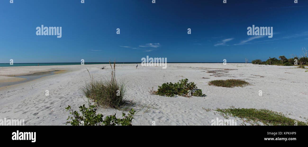 Florida beach panoramic, Stump Pass Beach State Park Stock Photo - Alamy
