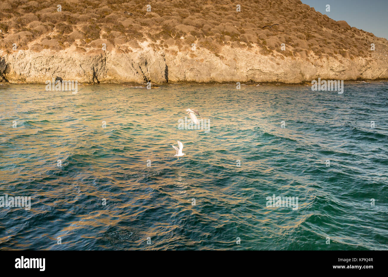 Isla Grosa - Spanish island near La Manga Stock Photo - Alamy