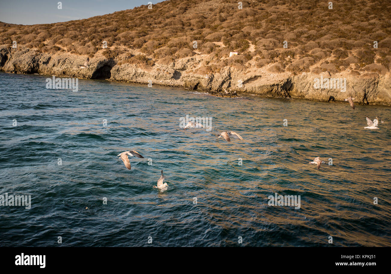 Isla Grosa - Spanish island near La Manga Stock Photo - Alamy
