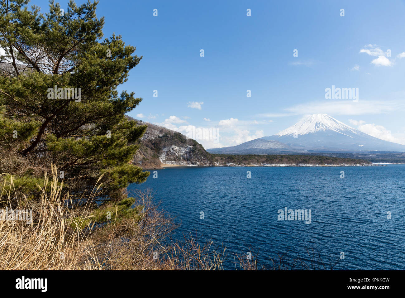 Lake Motosu and fujisan Stock Photo - Alamy