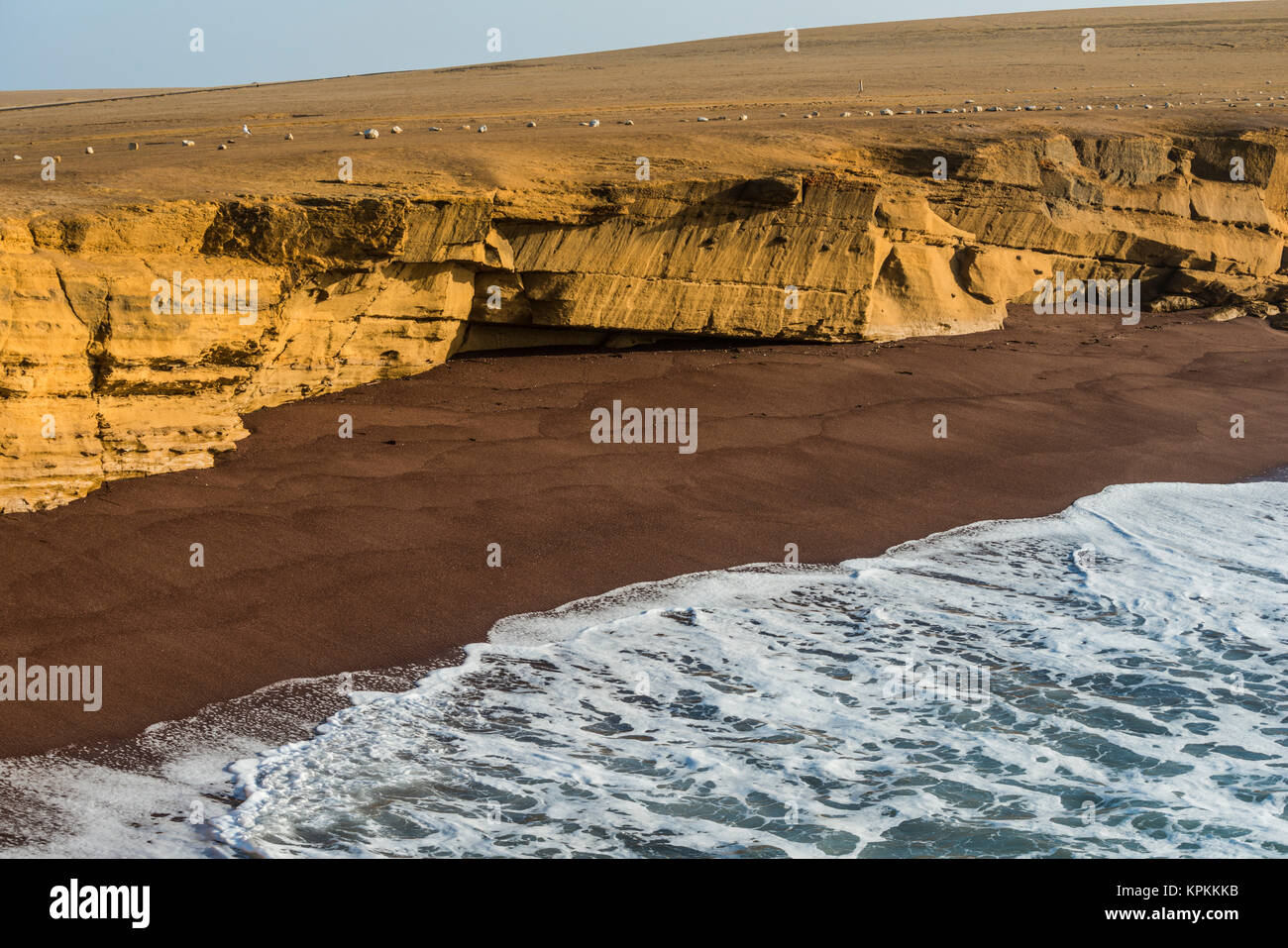 Paracas National Reserve. The very first Marine Conservation center in ...