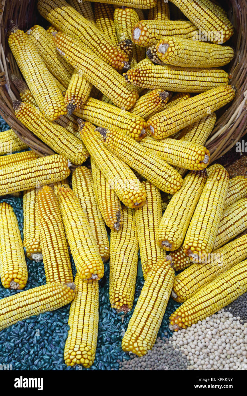 Corn Harvest Pile High Resolution Stock Photography and Images - Alamy