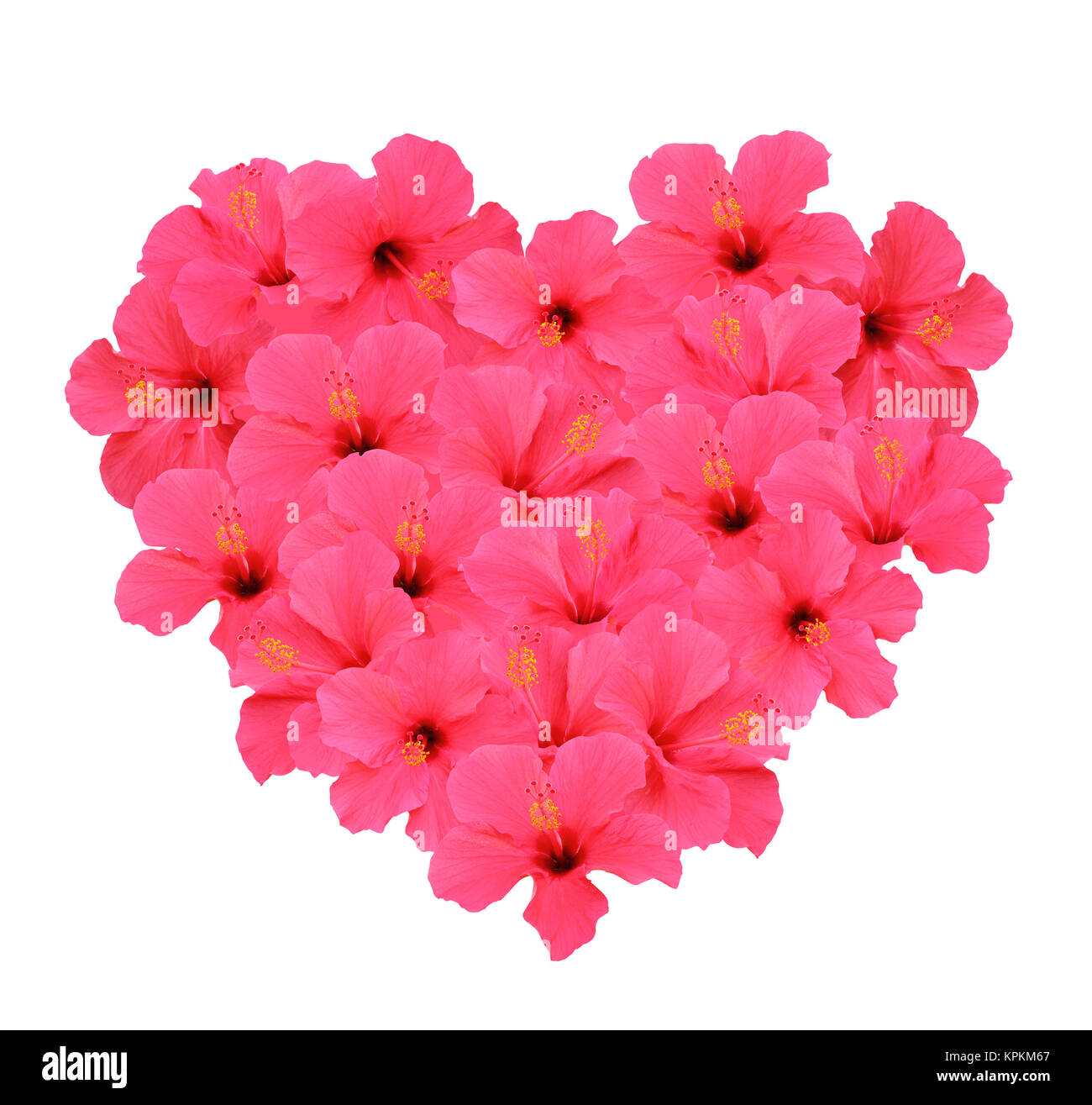 Heart shape bouquet made of Hibiscus flowers (Isolated on white ...