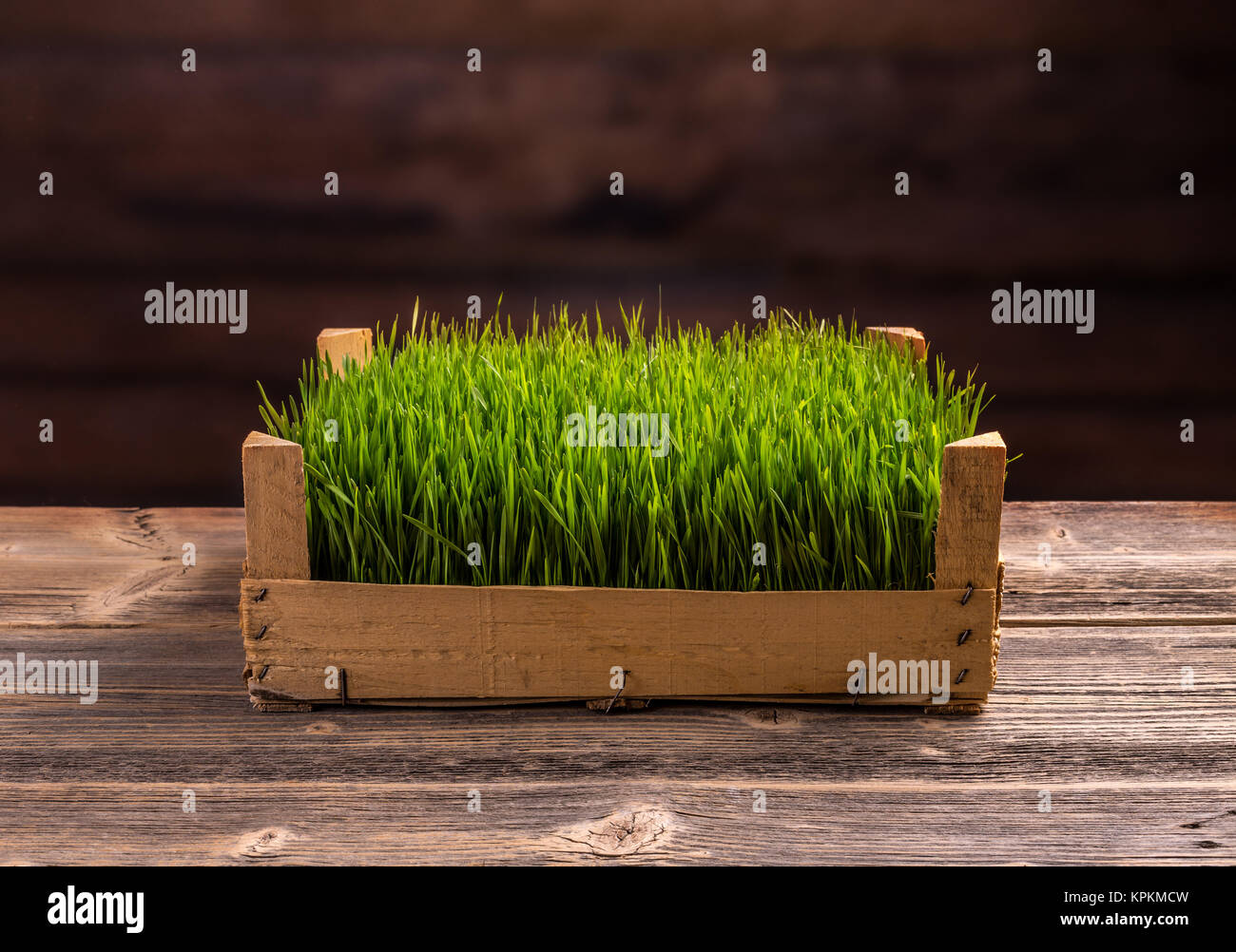 Hop sprouts hi-res stock photography and images - Alamy