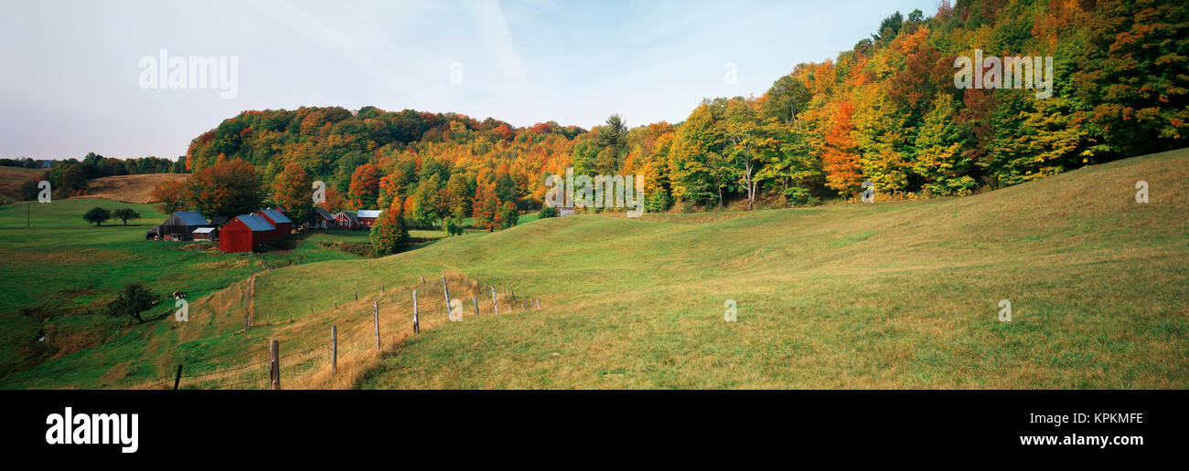 USA, Vermont, Reading, Jenne farm in autumn (Large format sizes ...
