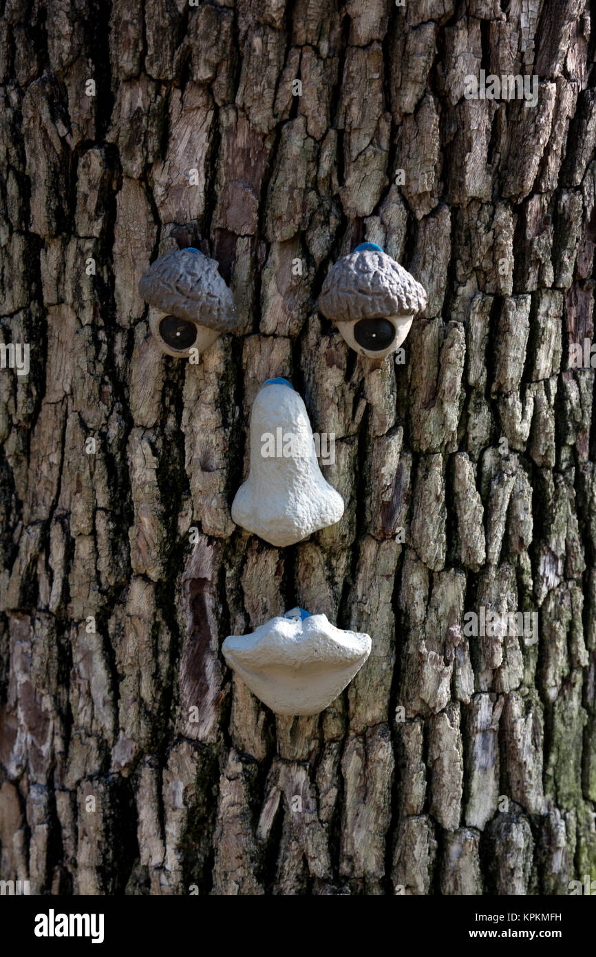 Tree face nose eyes lips hi-res stock photography and images - Alamy