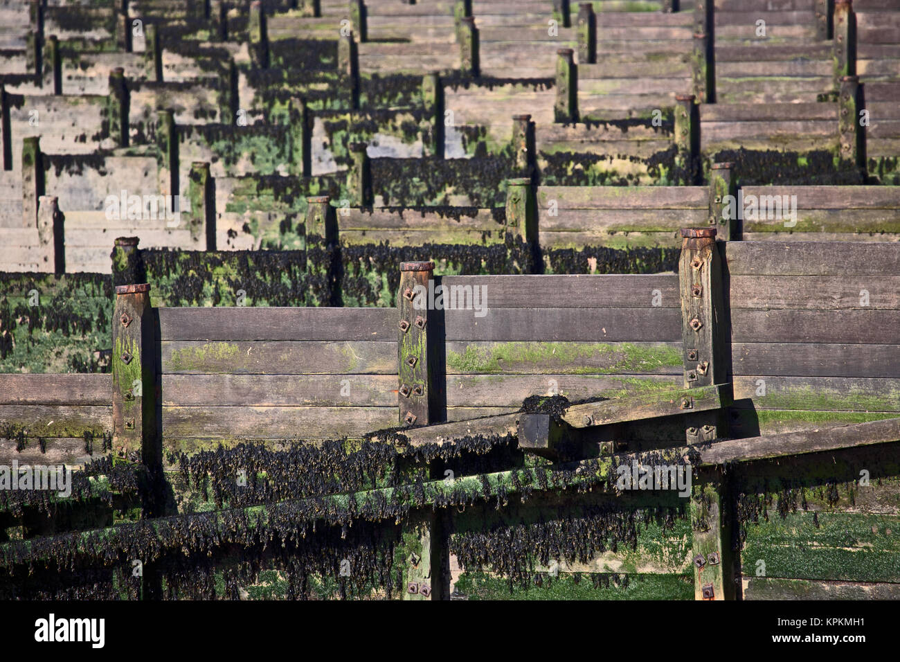 Coastal defence groynes on the beach at Whitstable, Kent, England Stock ...